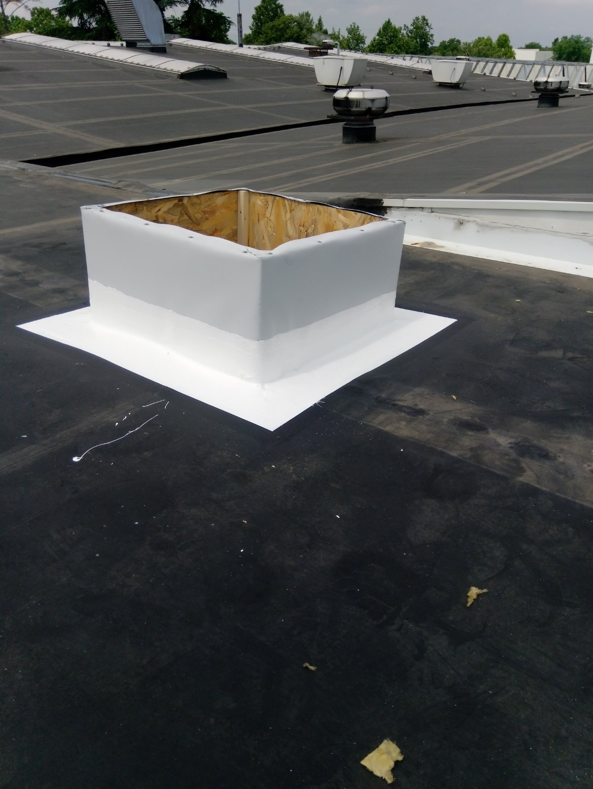 Business facility – “Coca Cola” – Waterproofing of roof domes – DVS ...